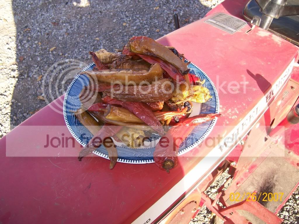 hot peppers - Gardening - RedSquare Wheel Horse Forum